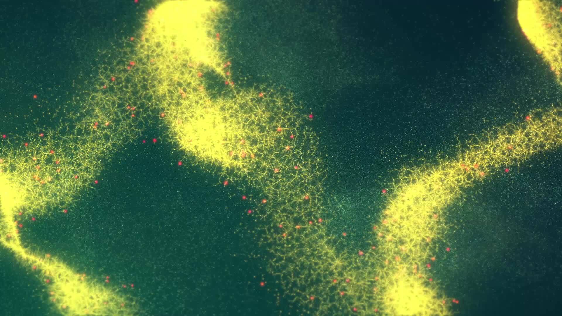 Abstract background with light and particles. Sparks, seamless loop ...