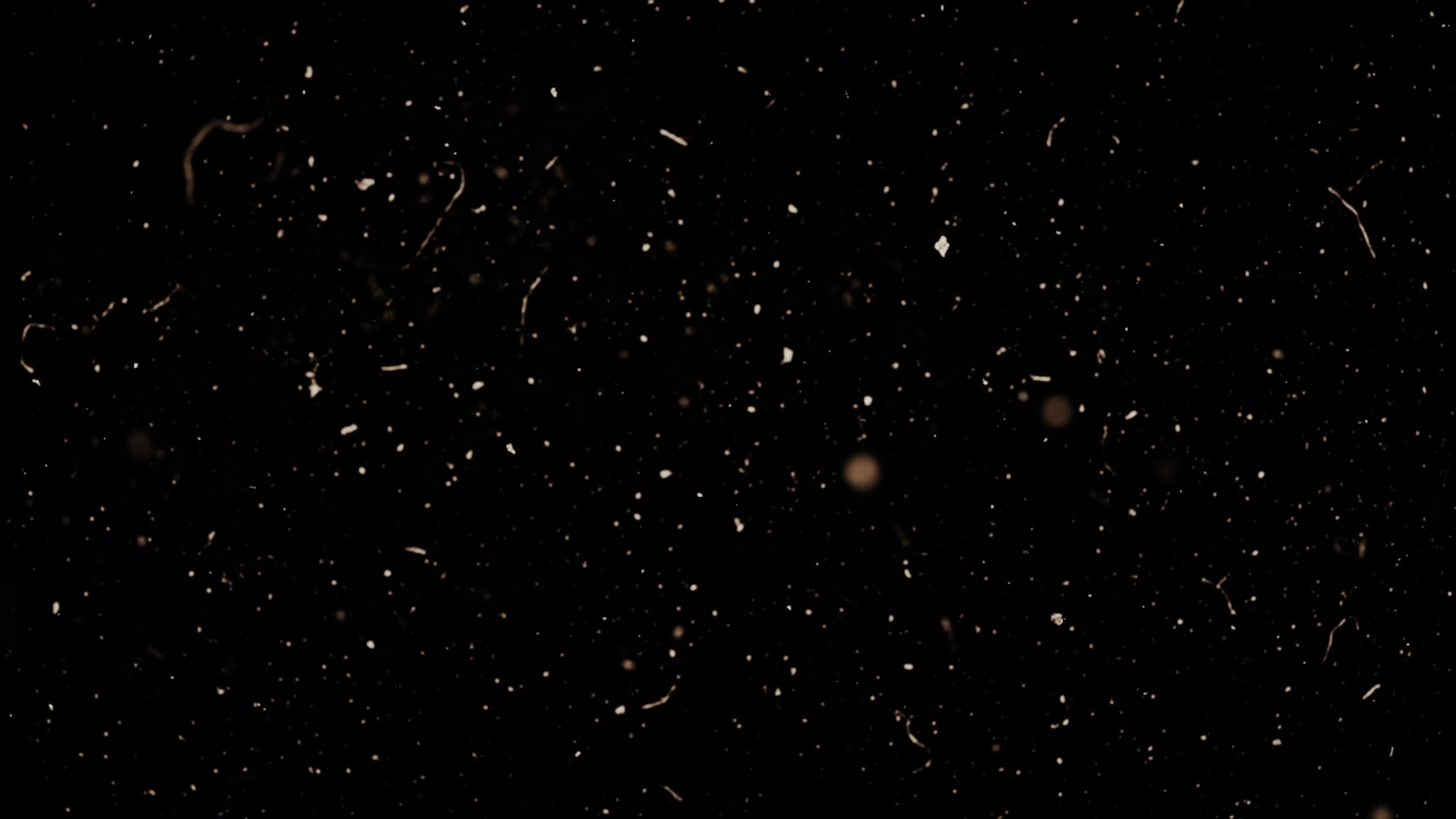 Realistic dust particles on dark background. Abstract animation. White and glow dust particle ...