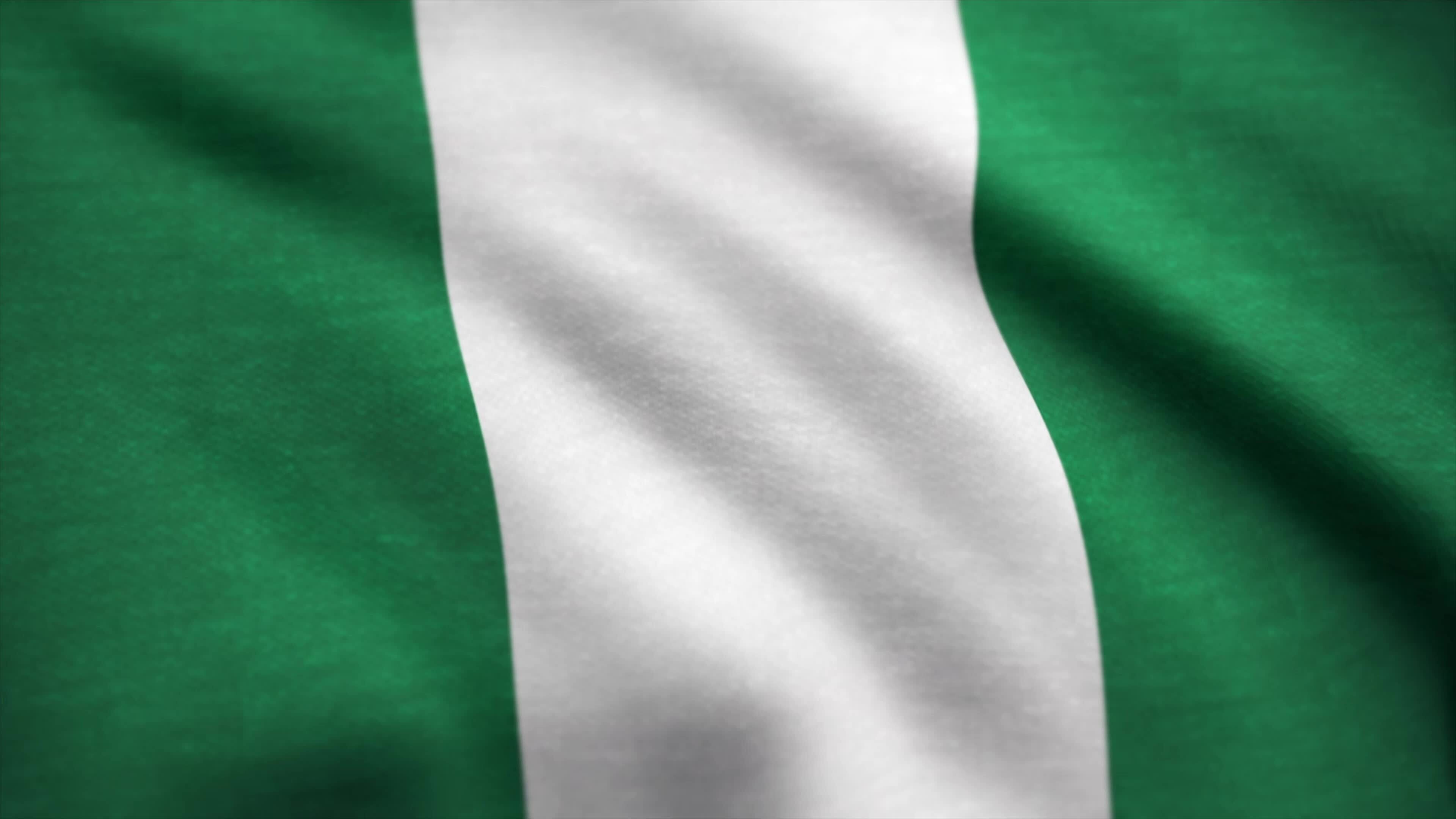 Flag of Nigeria animation. Nigeria flag waving on wind 38529120 Stock Video at Vecteezy