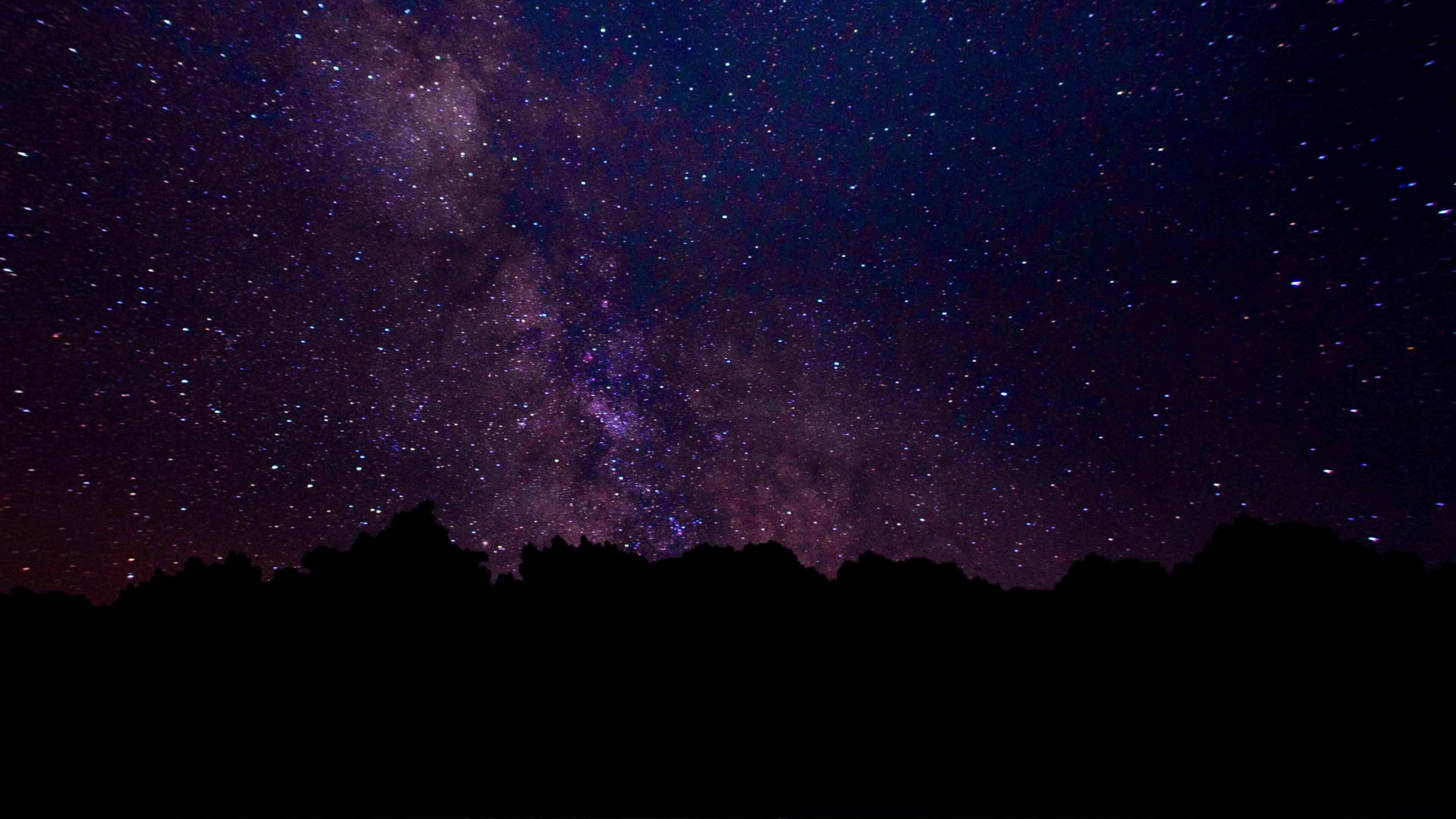 The Milky Way Appears From Behind The Trees. Perseid Meteor Shower ... The Milky Way Appears From Behind The Trees. Perseid Meteor Shower ...