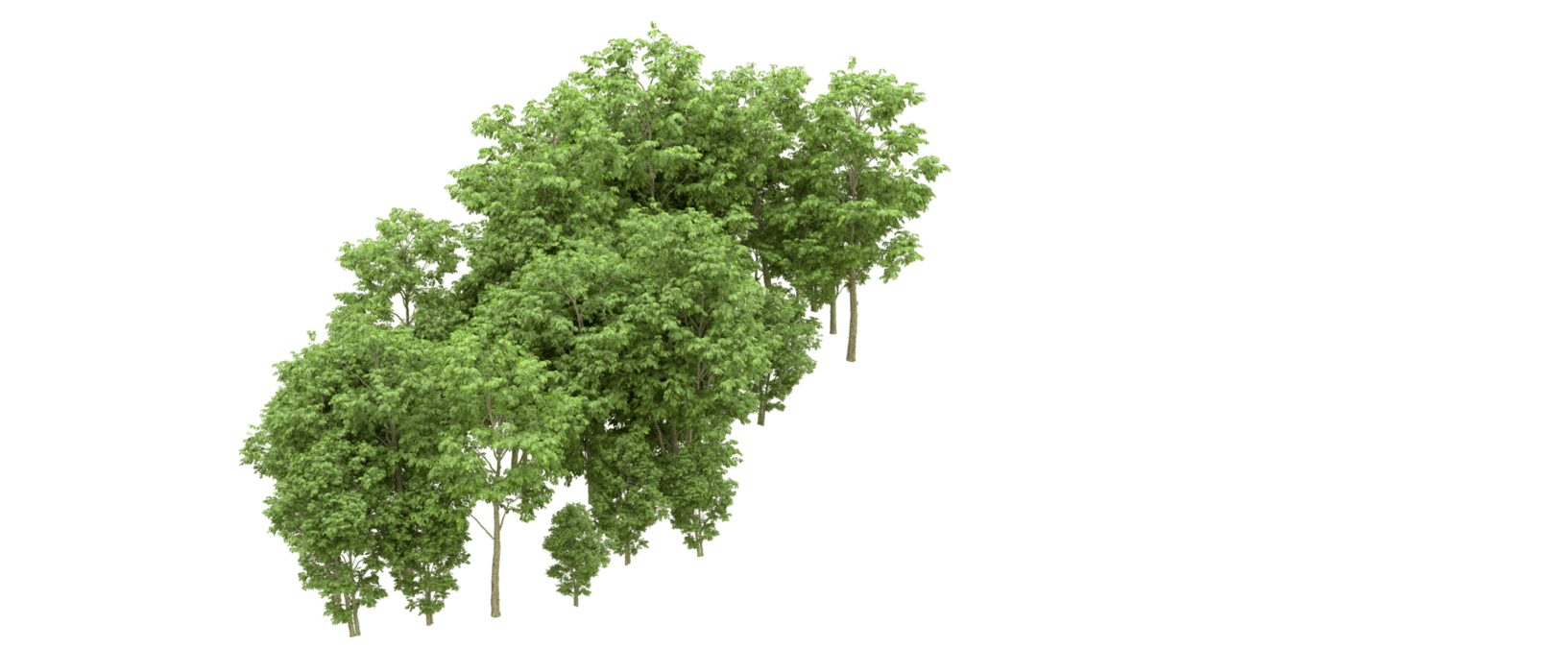 Isometric Tree PNGs for Free Download