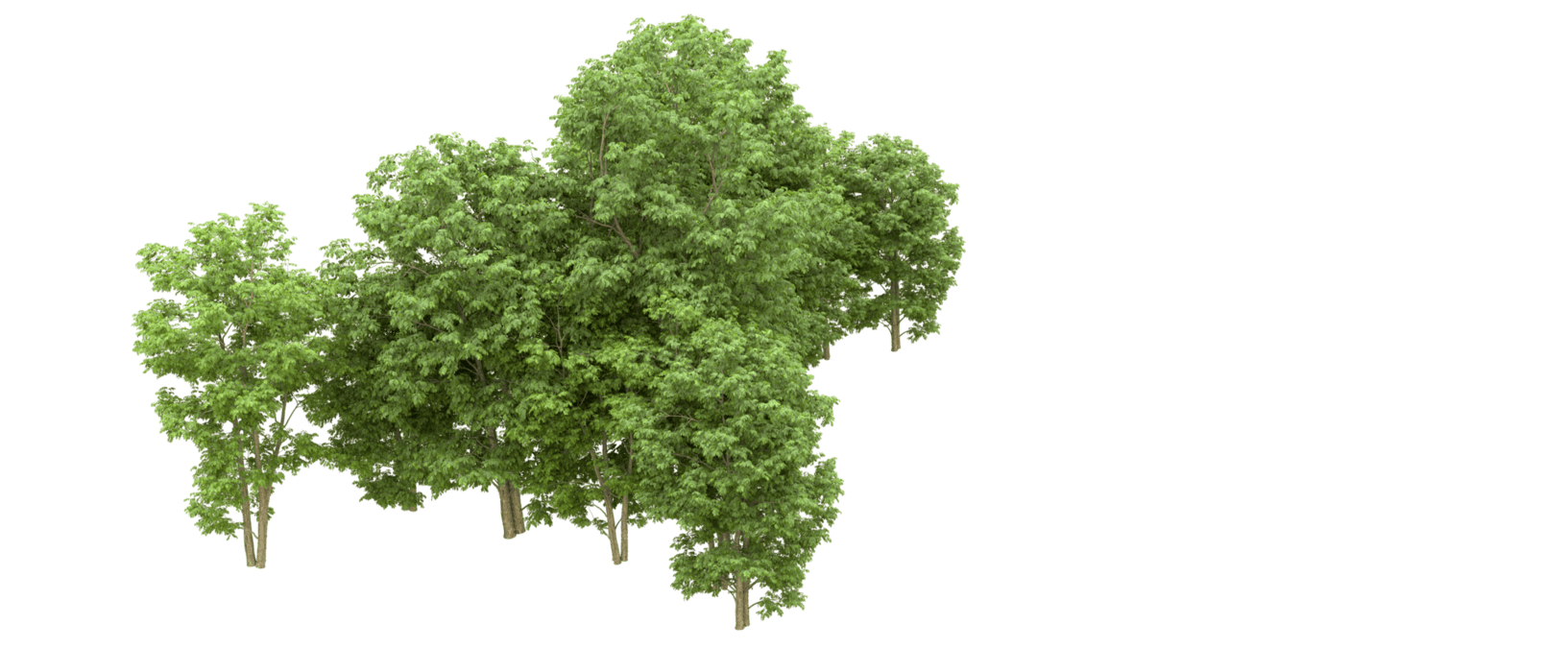 Isometric Tree PNGs for Free Download