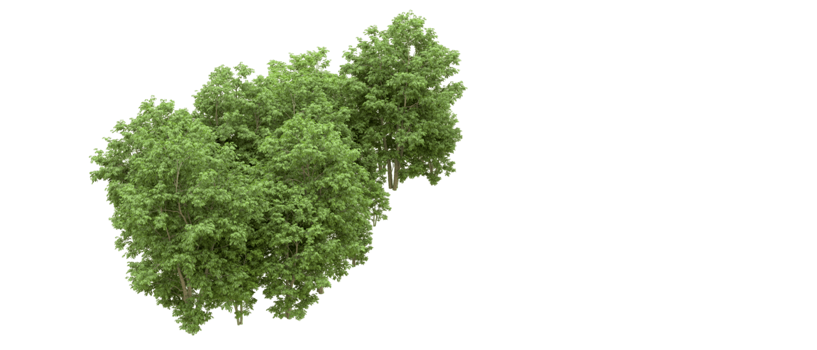 Trees Plan PNGs for Free Download