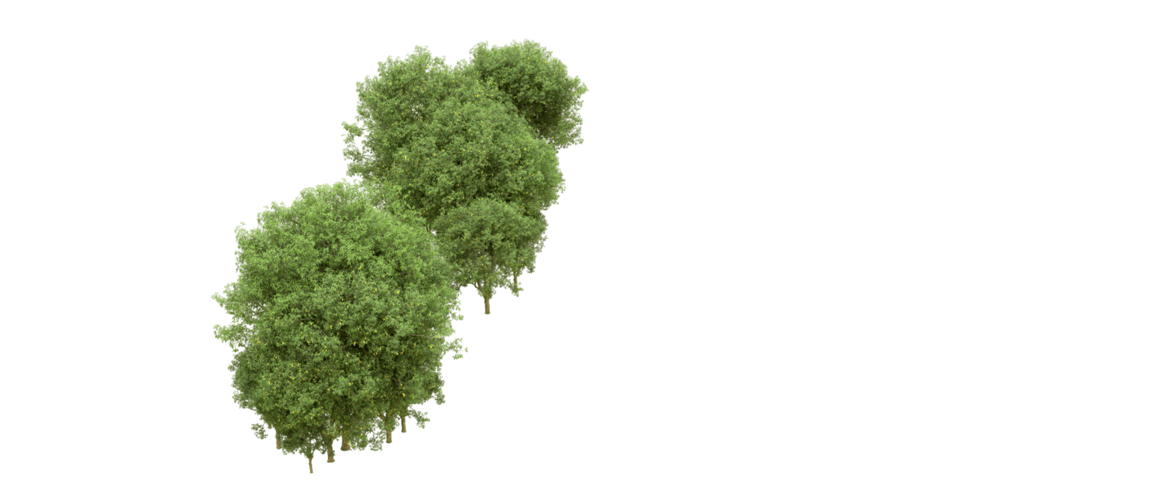 Trees In Plan PNGs for Free Download