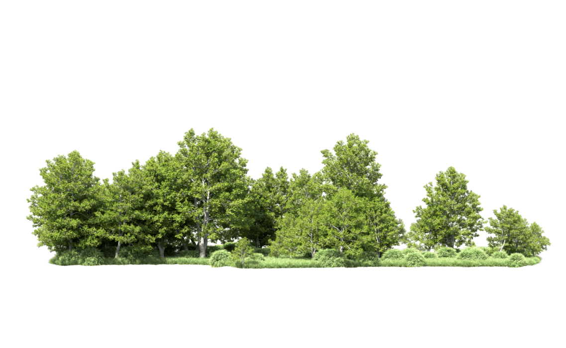 Tree Line Art PNGs for Free Download