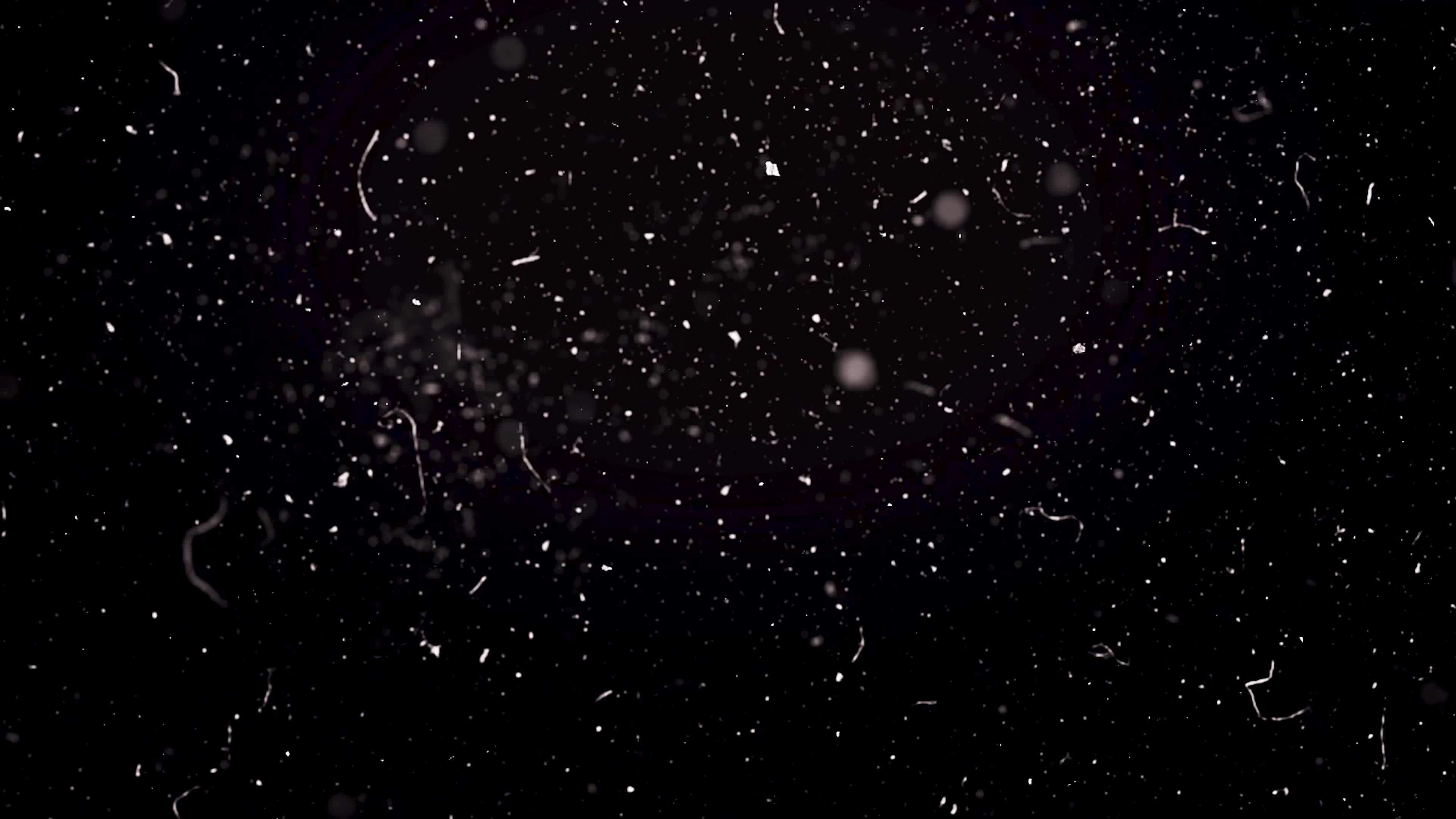 Natural organic dust particles floating on black background. Glittering sparkling particles ...