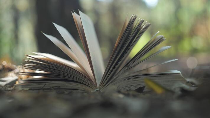 Book Pages Flipping Stock Video Footage for Free Download