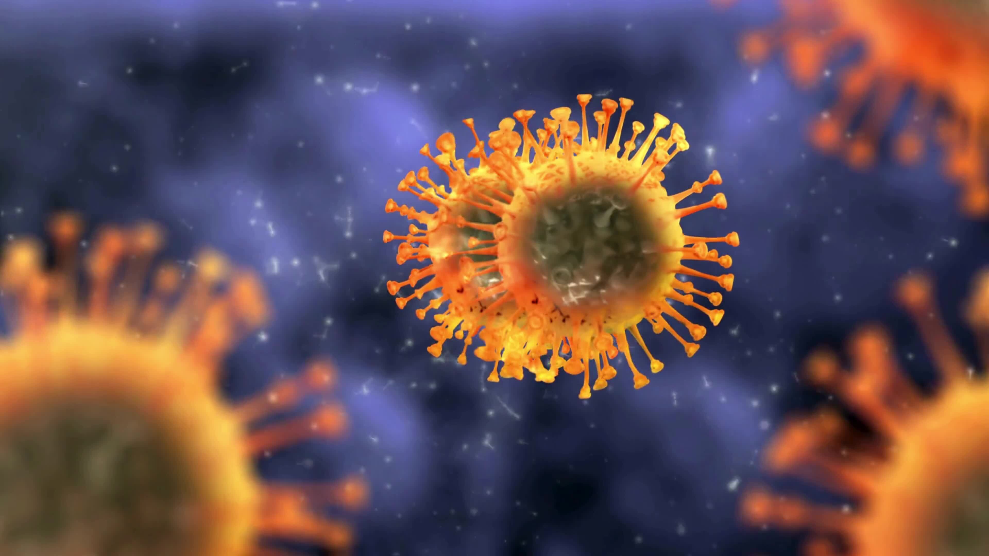 Human Immune System Attack The Virus 38903671 Stock Video At Vecteezy