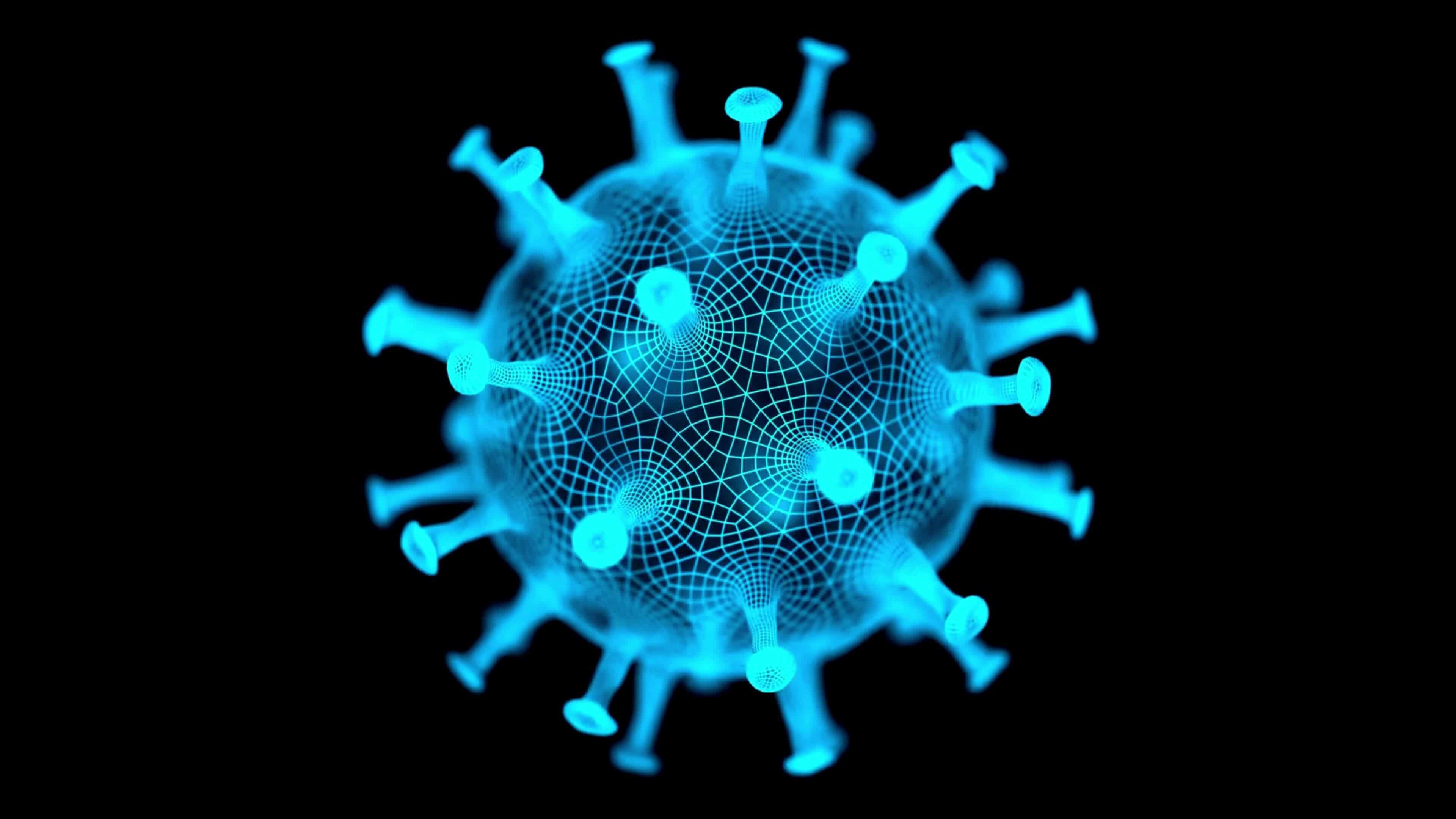 Human Immune System Attack The Virus 38903678 Stock Video At Vecteezy