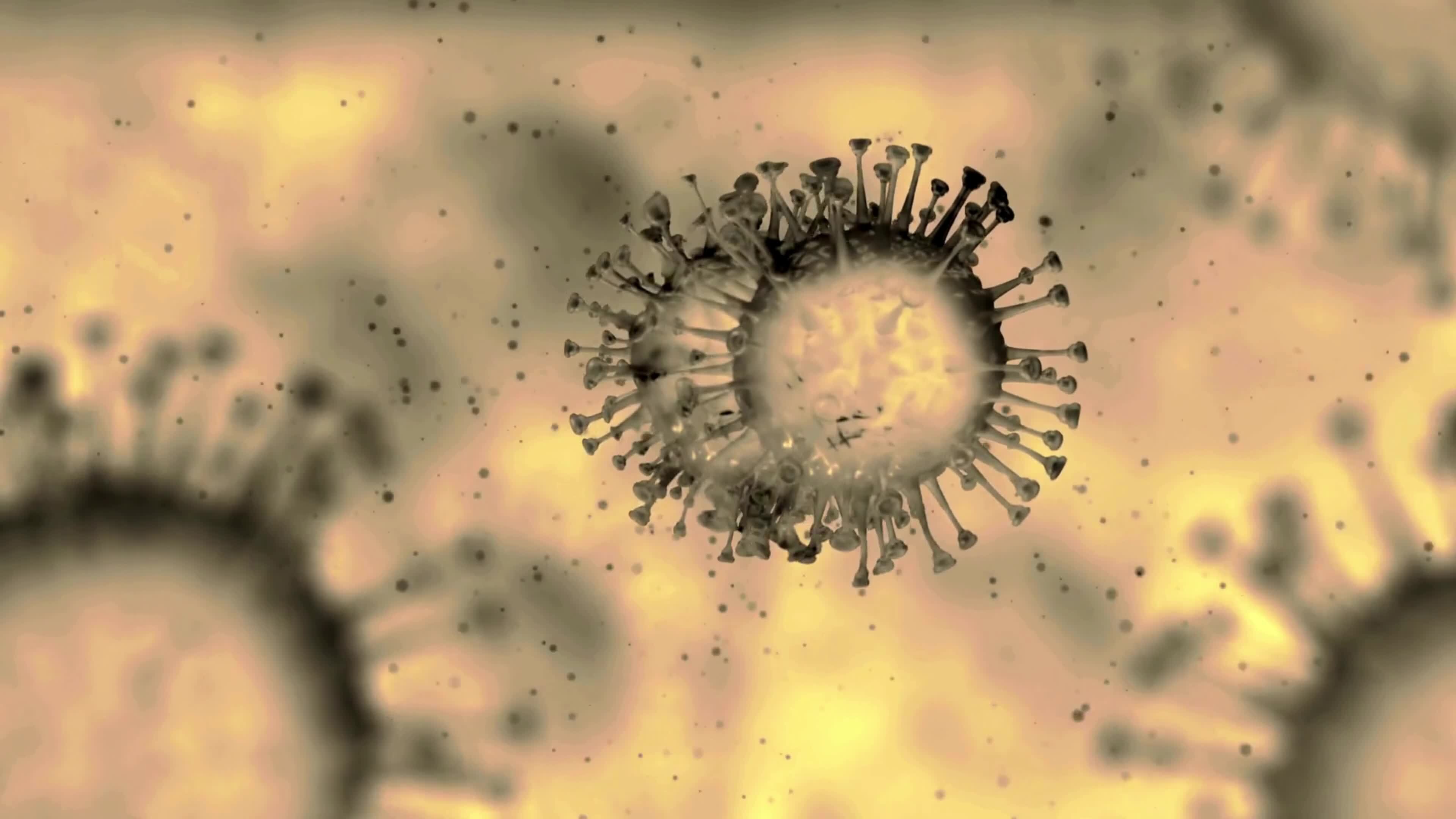 Human Immune System Attack The Virus 38903679 Stock Video At Vecteezy