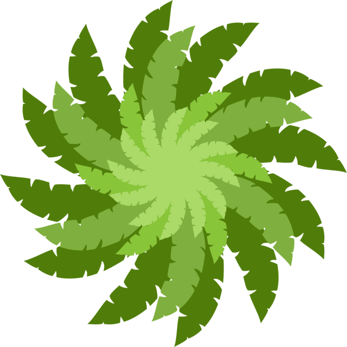 Tree Top View PNGs for Free Download