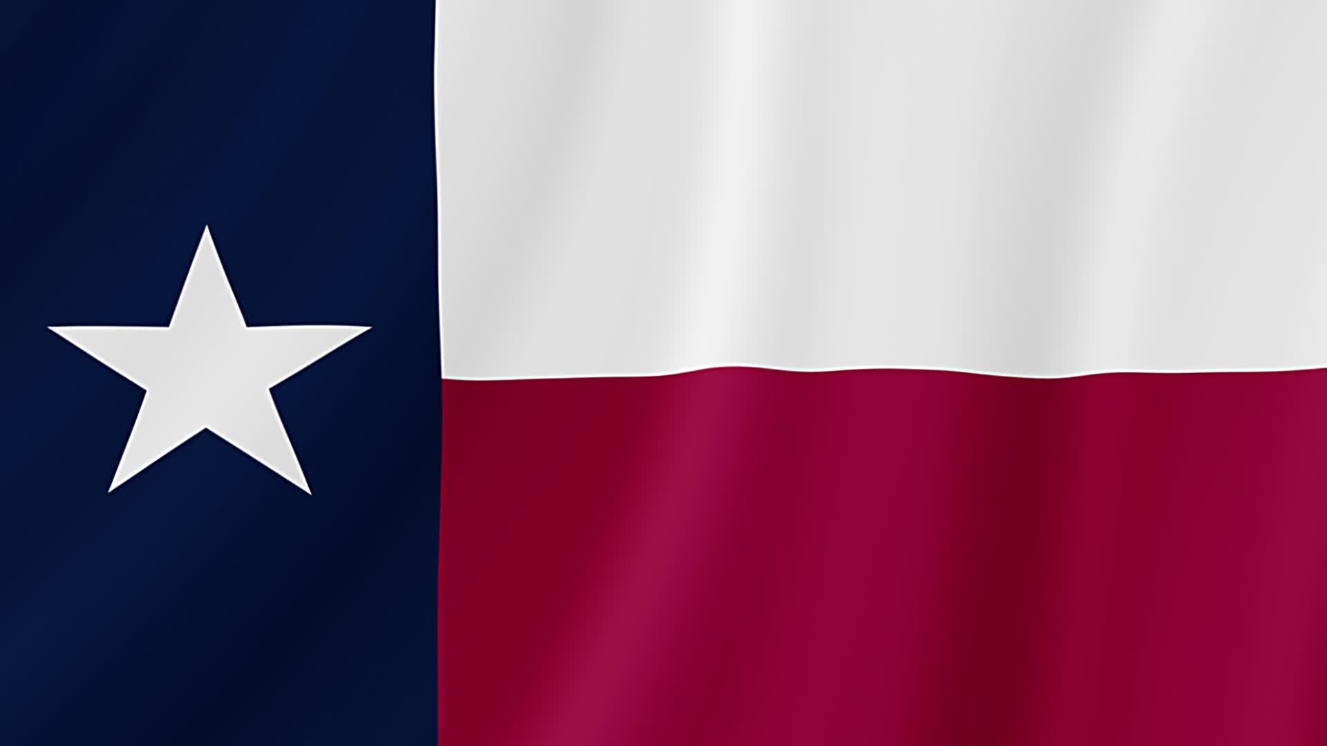 Texas State Waving Flag. Realistic Flag Animation. 39000500 Stock Video ... Texas State Waving Flag. Realistic Flag Animation. 39000500 Stock Video ...