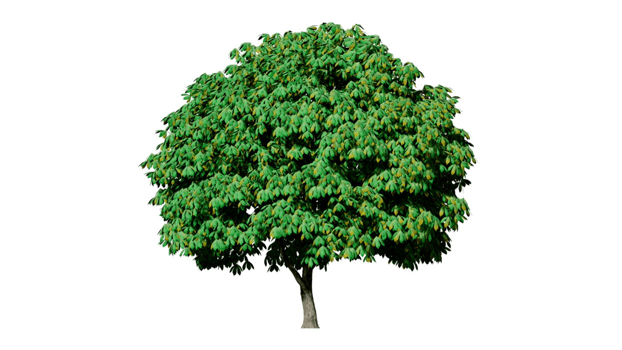 Tree Architecture PNGs for Free Download