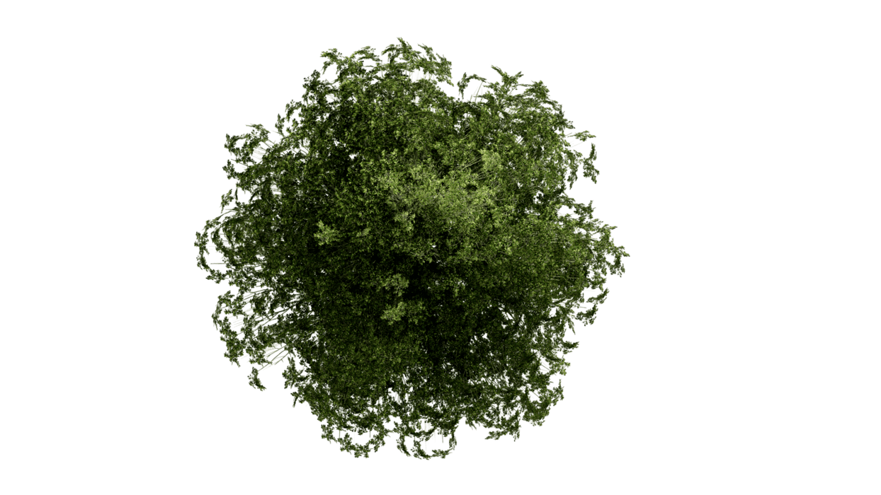 Trees Plan View PNGs for Free Download