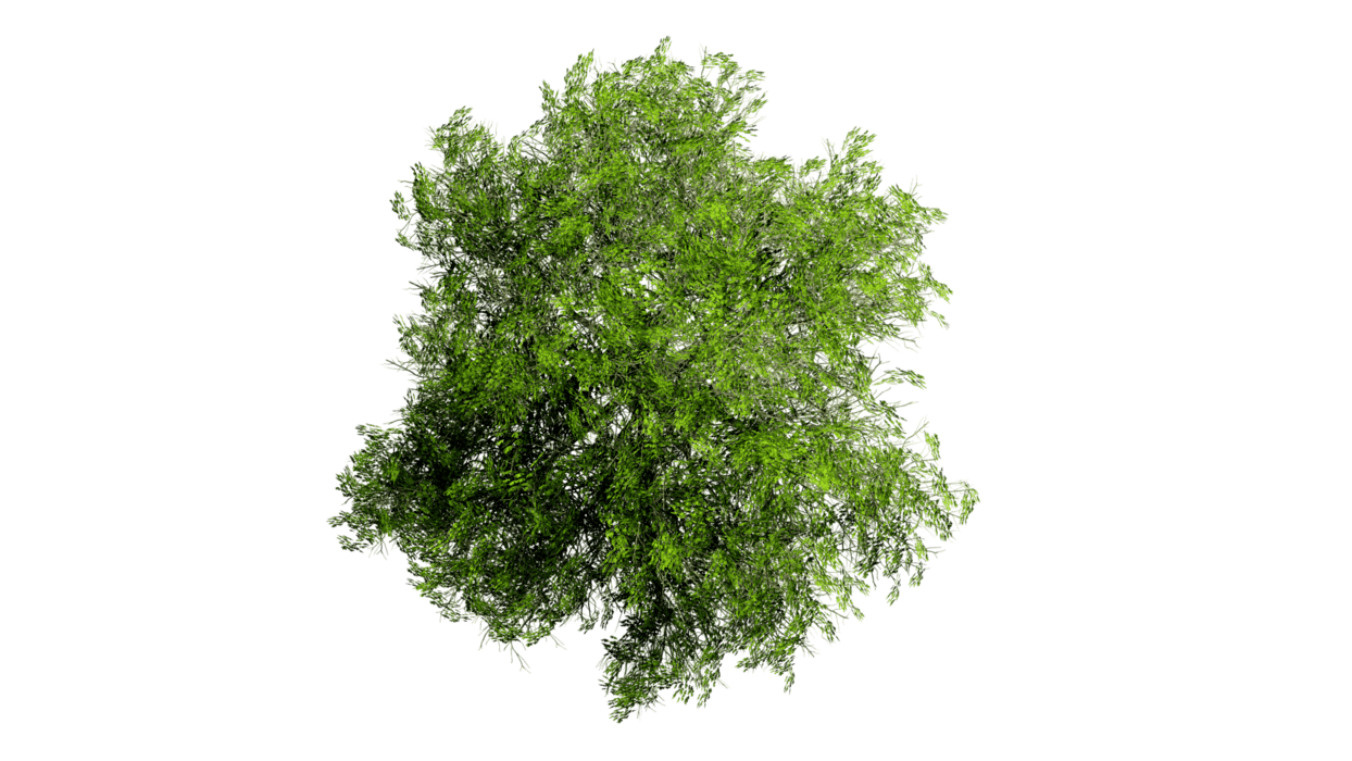 Page 3 | Tree Top View PNGs for Free Download