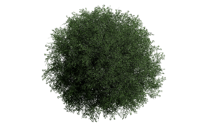 Grass Top View Pngs For Free Download