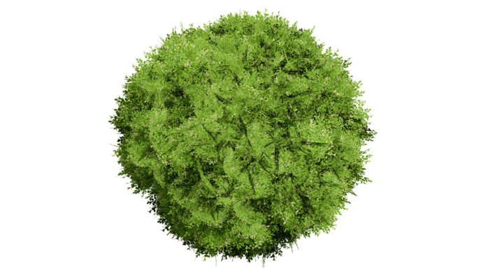 Grass Top View Pngs For Free Download
