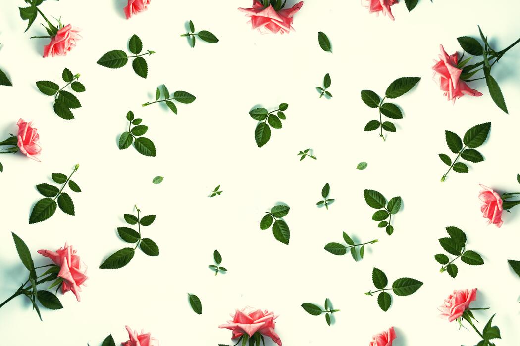 Rose Floral Pattern Stock Photos, Images and Backgrounds for Free Download