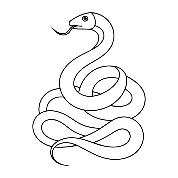 Snake Line Drawing Vector Art, Icons, and Graphics for Free Download