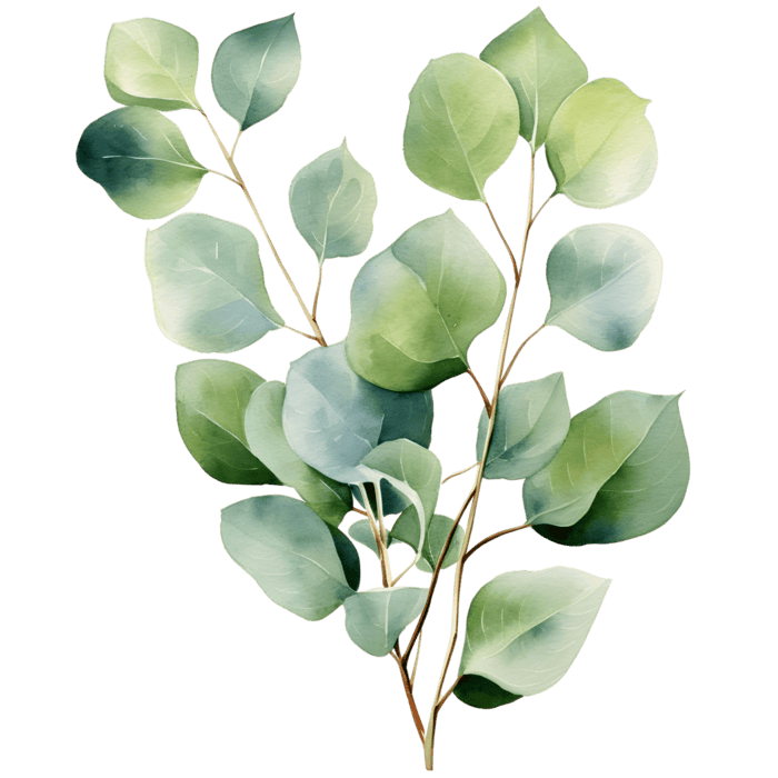 Eucalyptus Leaves Gold PNGs for Free Download