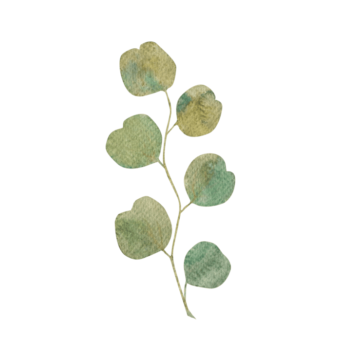 Eucalyptus Gold PNGs for Free Download