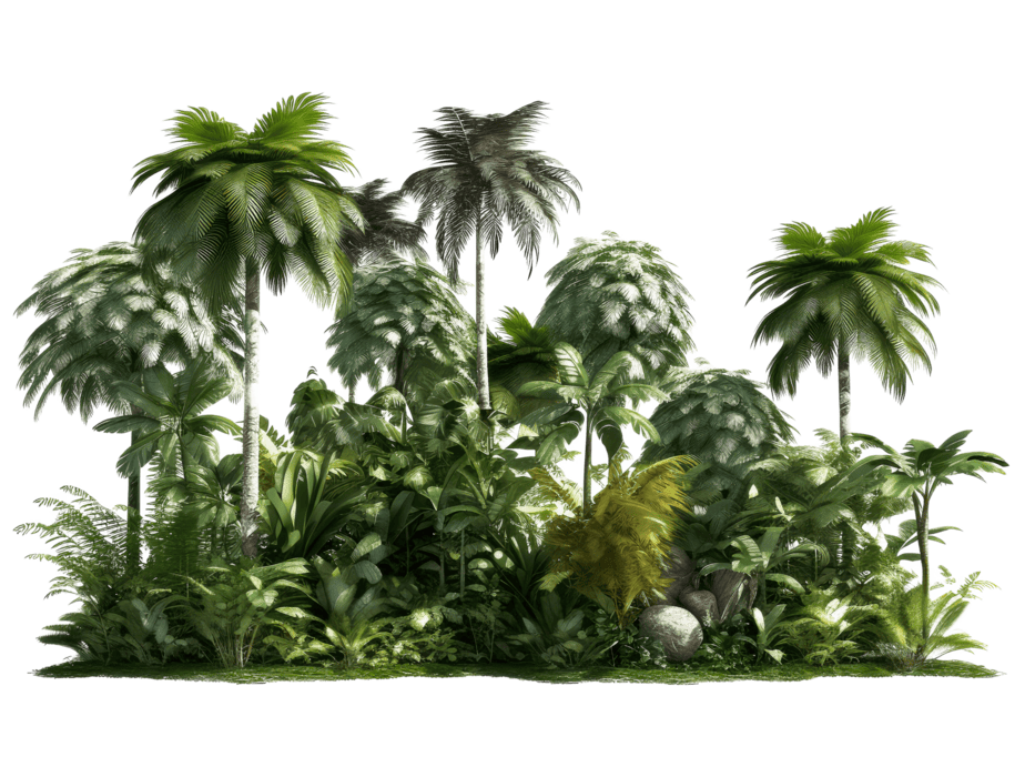 Jungle Trees PNGs for Free Download