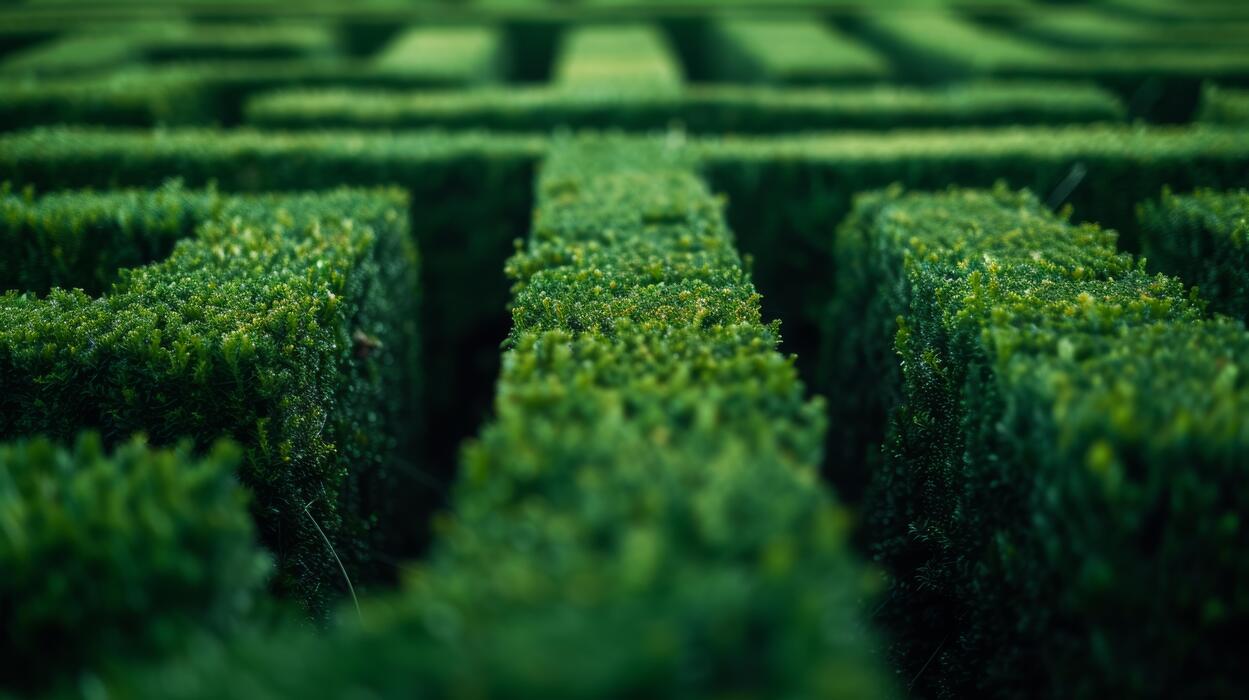 Tree Maze Stock Photos, Images and Backgrounds for Free Download
