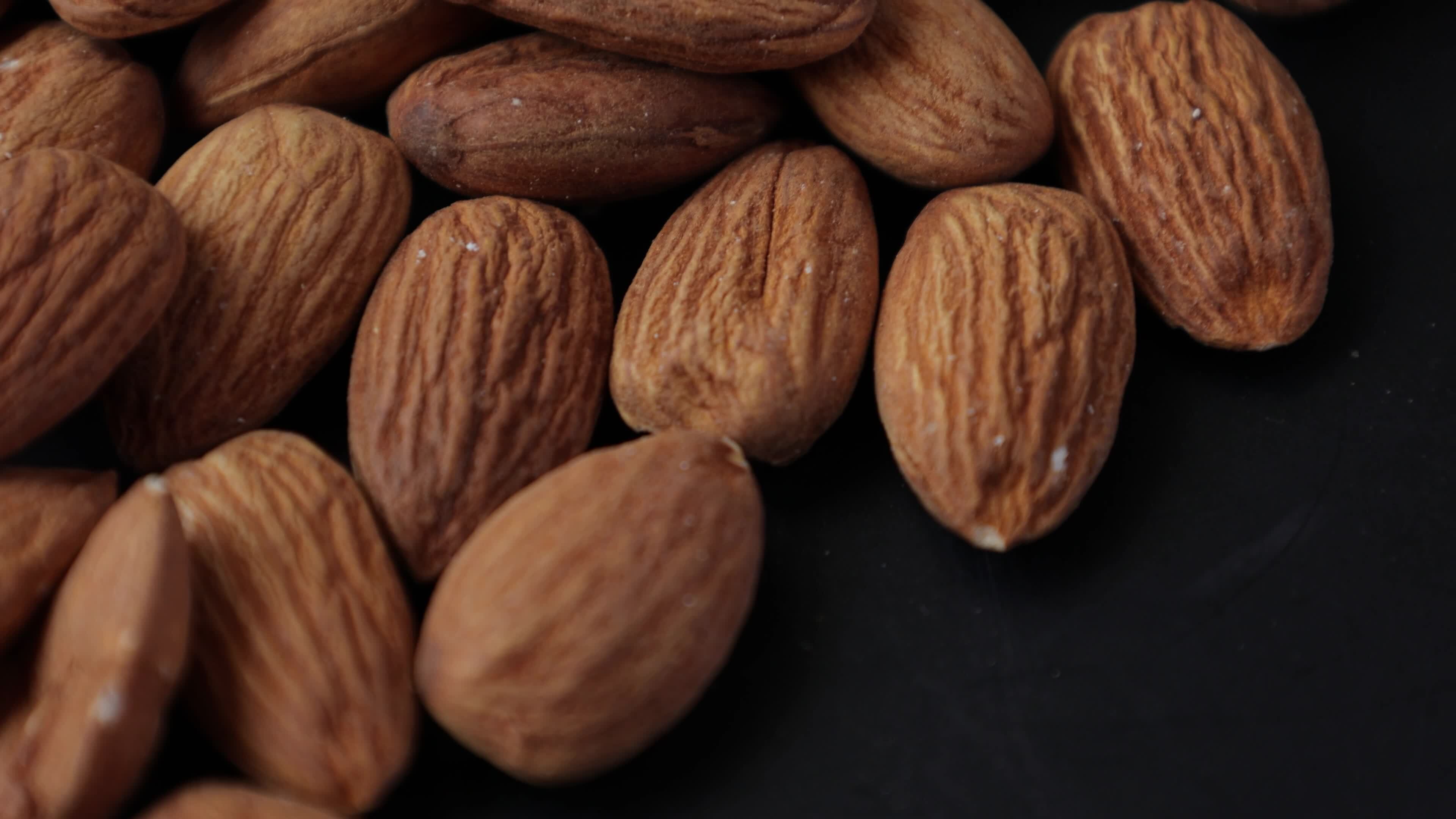 Almond Nut Stock Video Footage for Free Download
