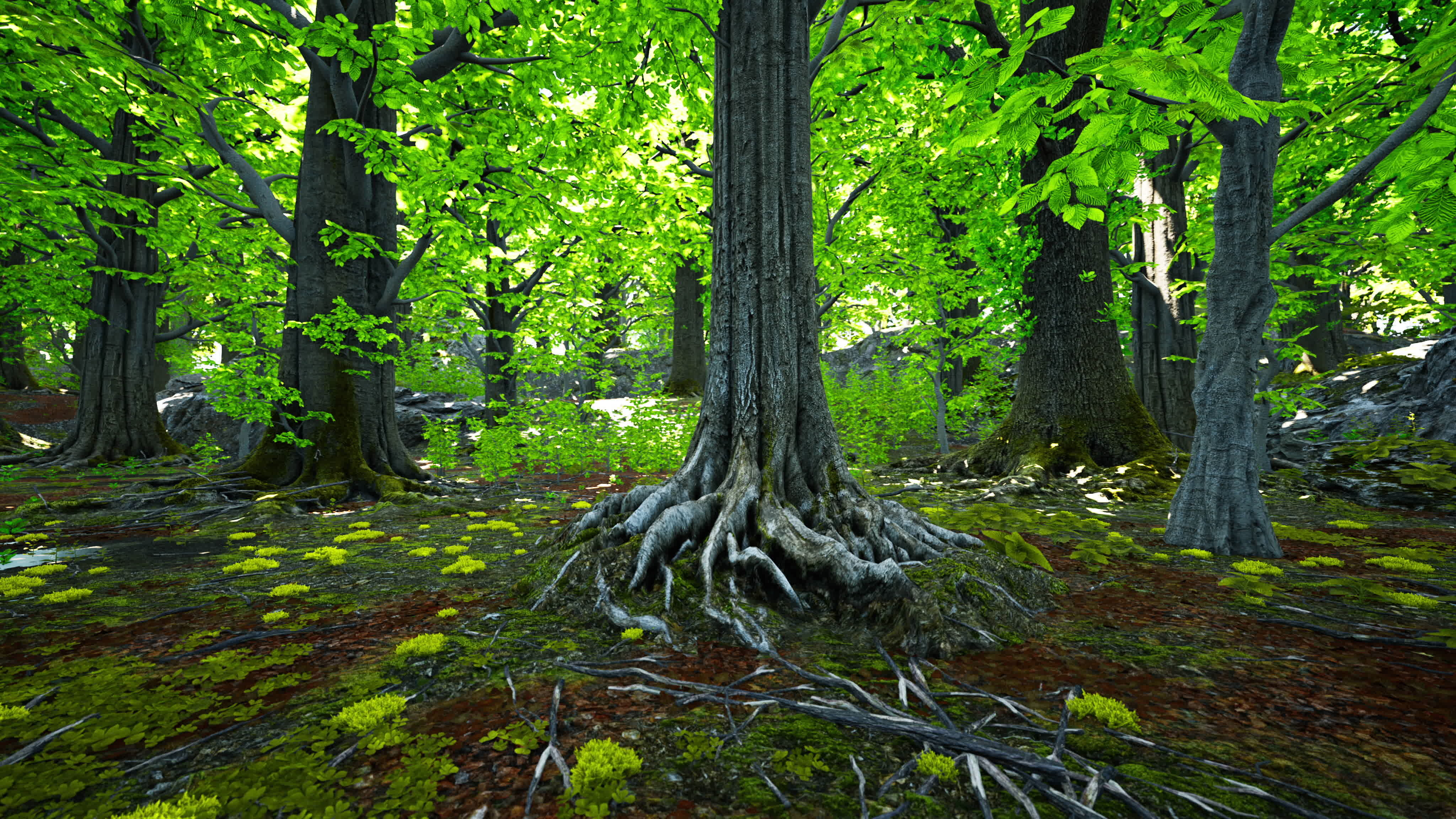 A majestic tree with lush green foliage 40081566 Stock Video at Vecteezy