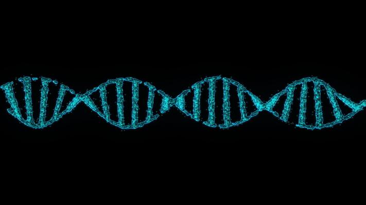 Dna Animation Stock Video Footage for Free Download