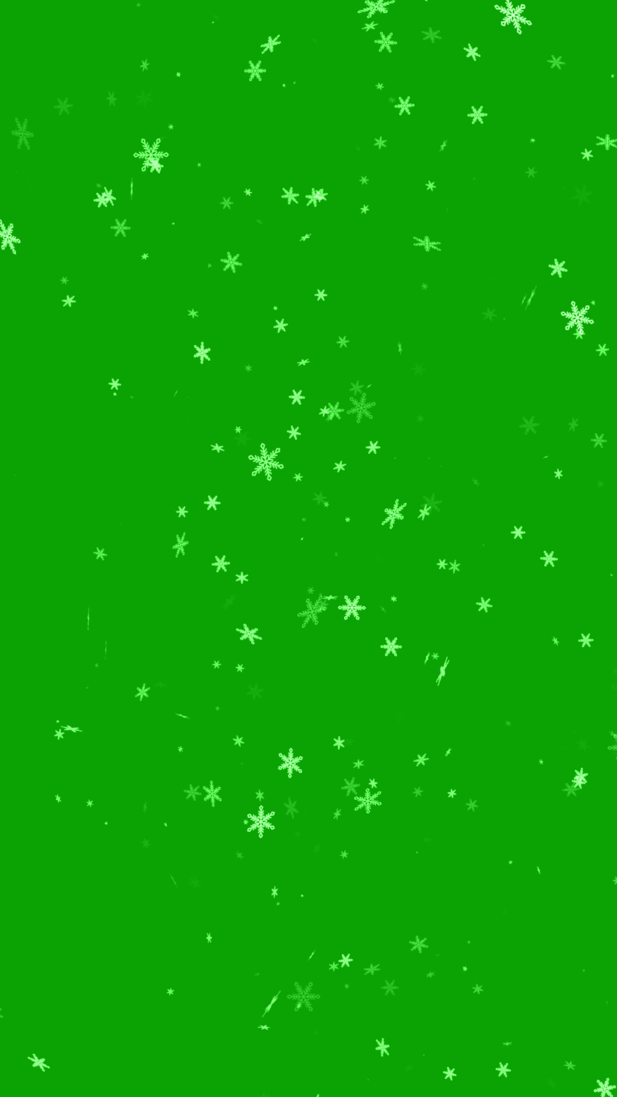 Snowfall overlay on green background. Winter slowly falling snow effect. 4K vertical animation ...