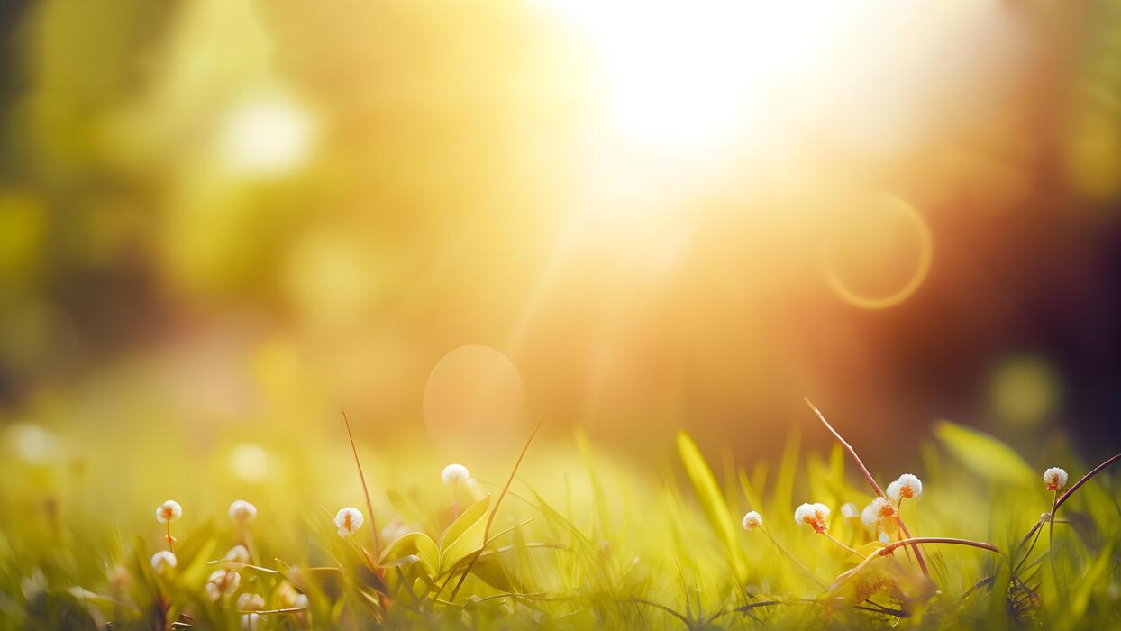 Spring Nature Background Stock Photos, Images and Backgrounds for Free ...