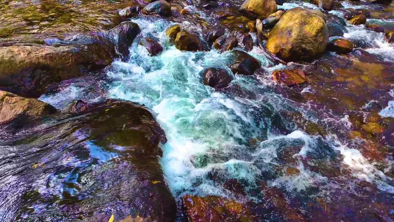 Fast Moving River in the Forest 40293666 Stock Video at Vecteezy