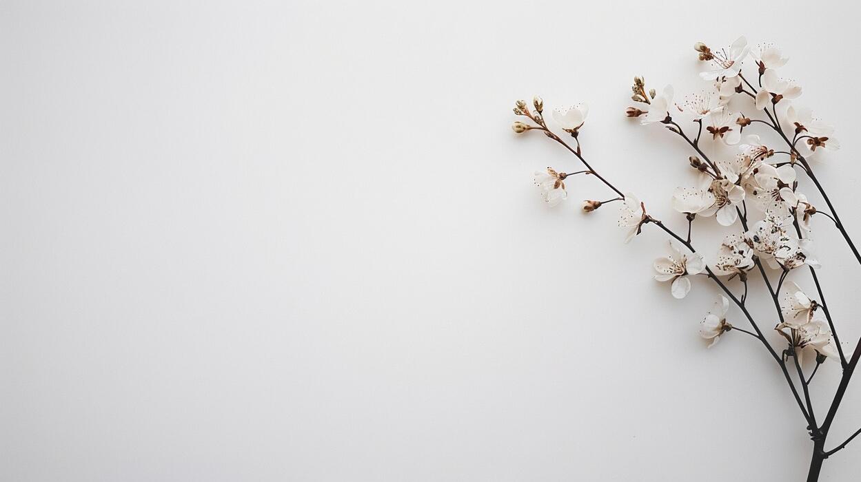 Minimalist Flower Background Stock Photos, Images and Backgrounds for ...