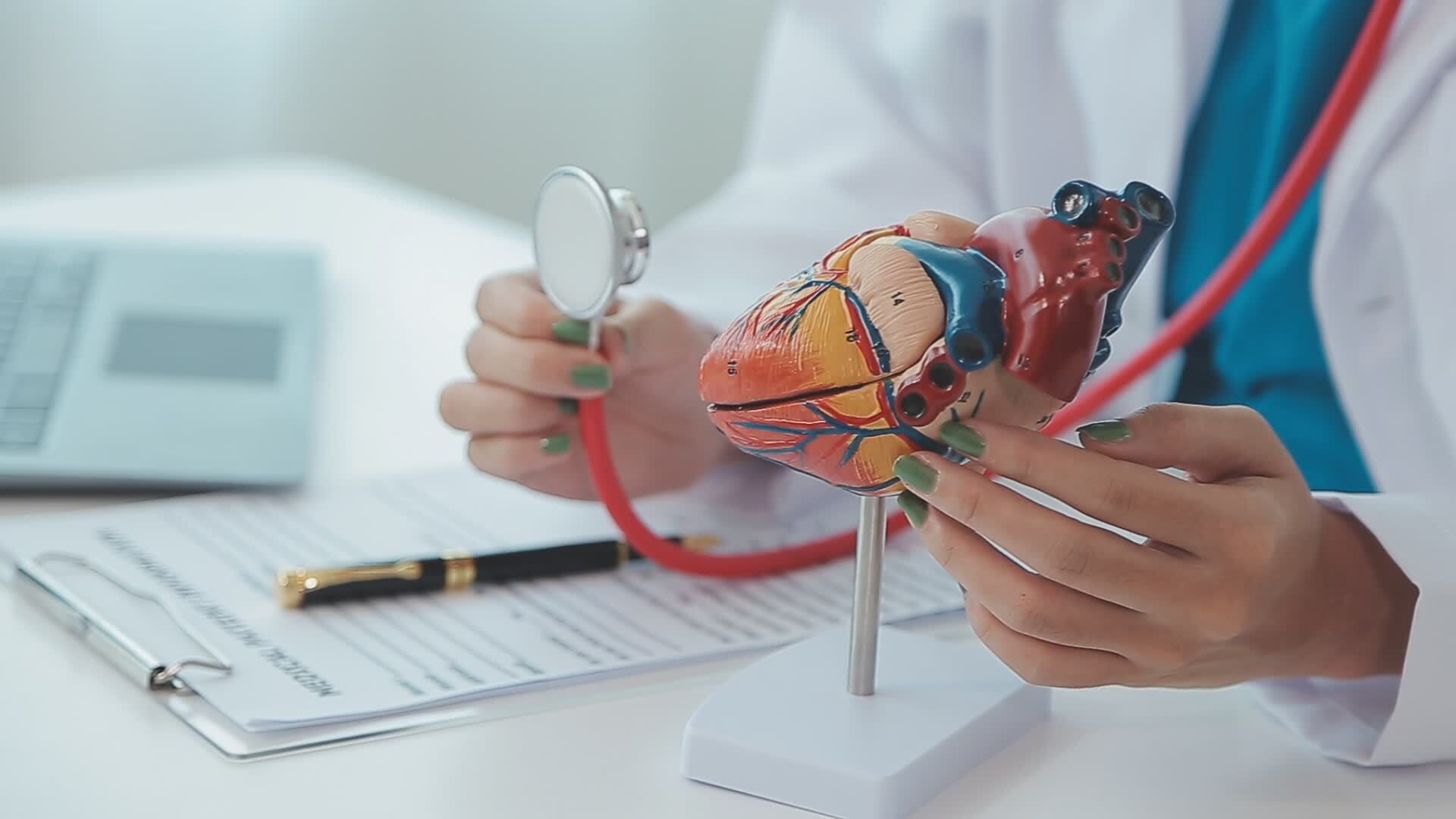 Cardiology Consultation Treatment Of Heart Disease Doctor