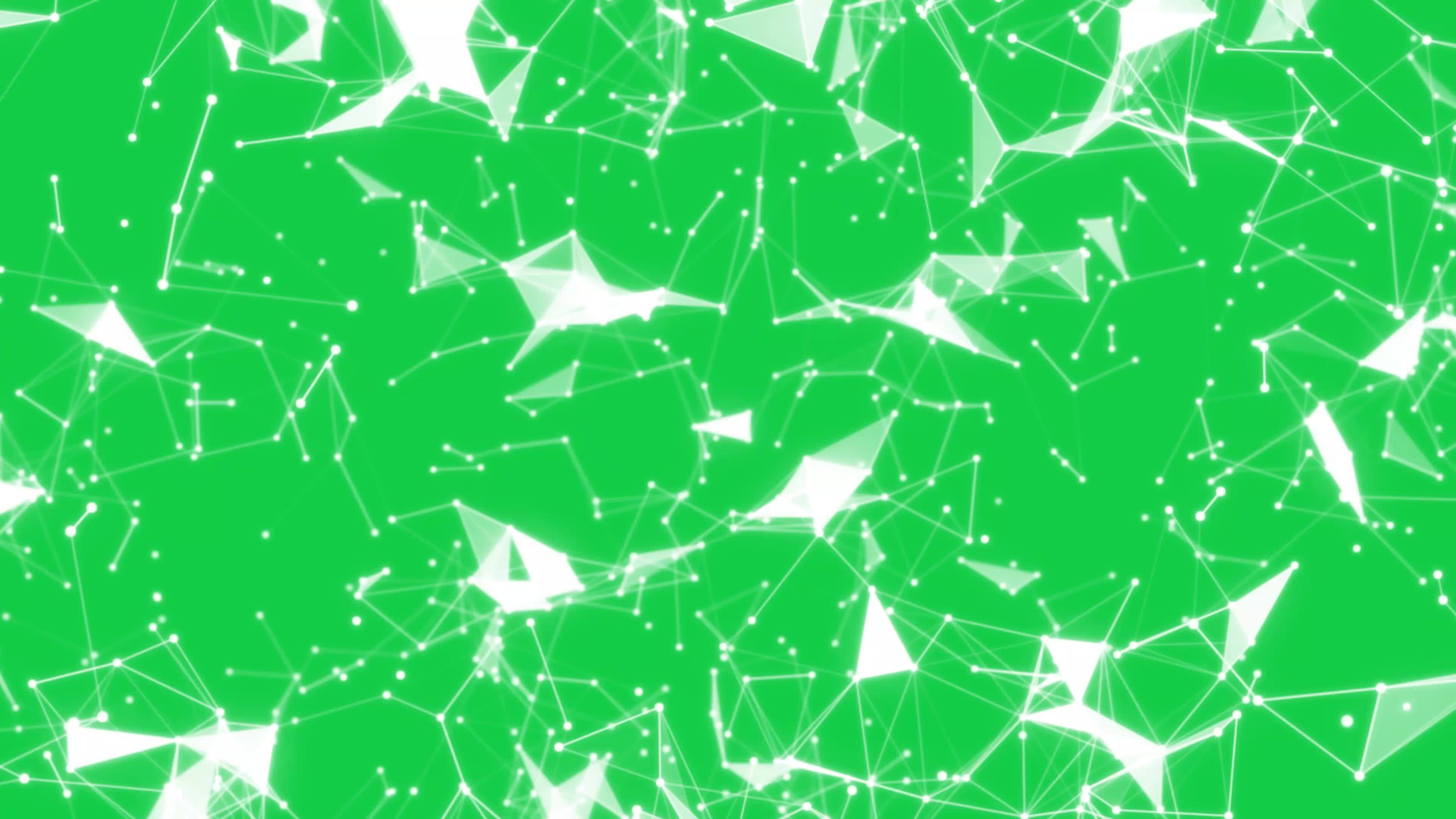 Abstract Polygonal Plexus Connecting Lines Network Web Technology Loop Animation Overlay On