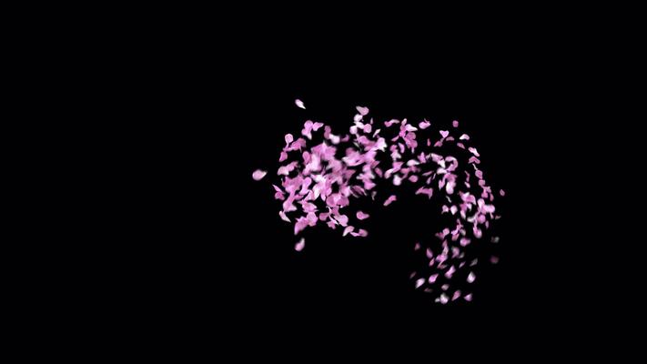 Flower Blooming Animation Stock Video Footage for Free Download