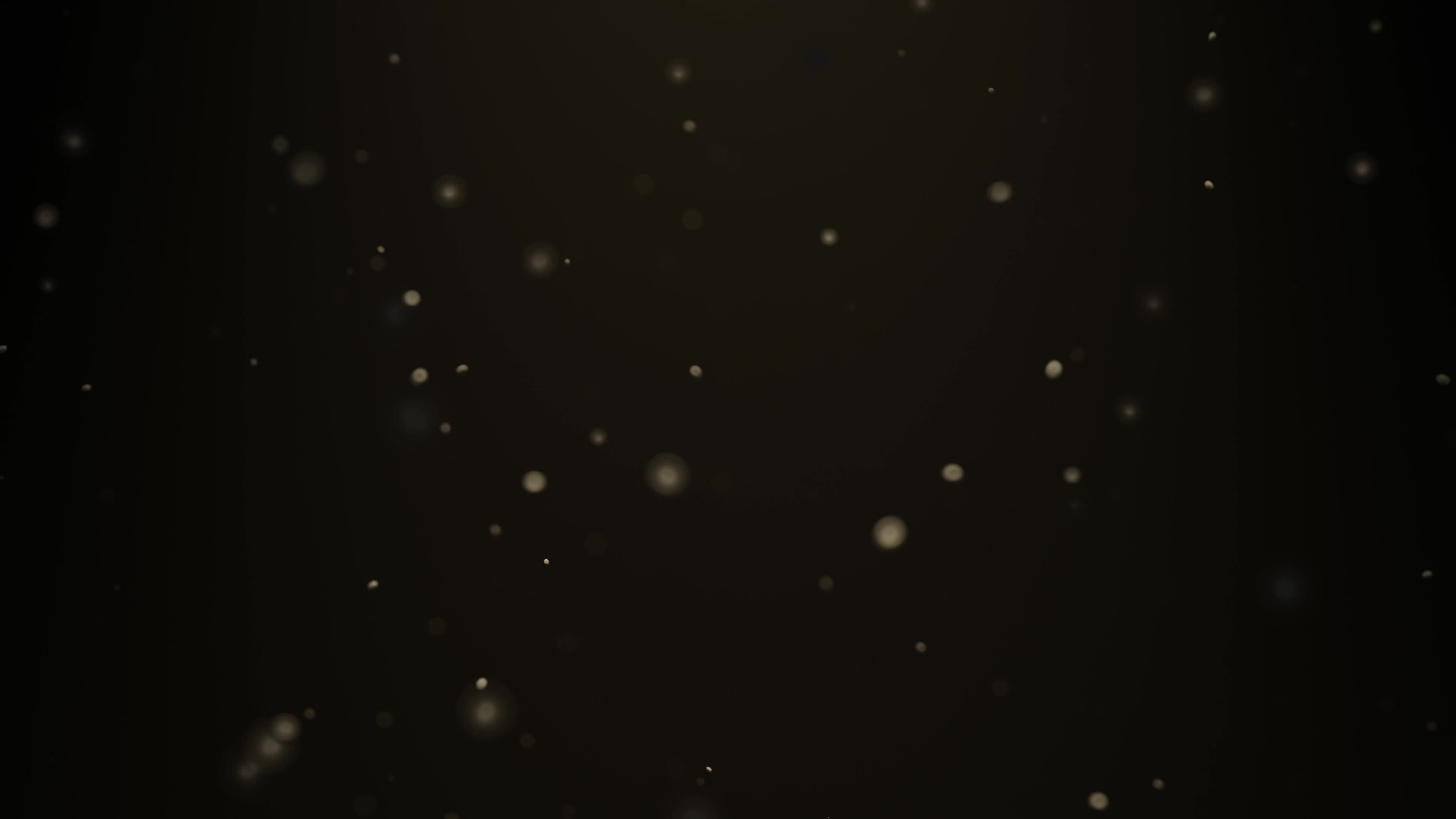 Floating Dust Particles Stock Video Footage For Free Download