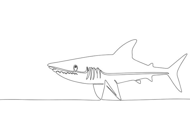 Page 4 Great White Shark Silhouette Vector Art Icons And Graphics For Free Download