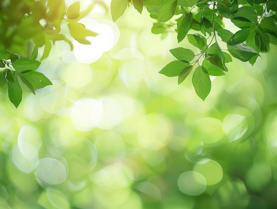 Outdoor Green Stock Photos, Images and Backgrounds for Free Download