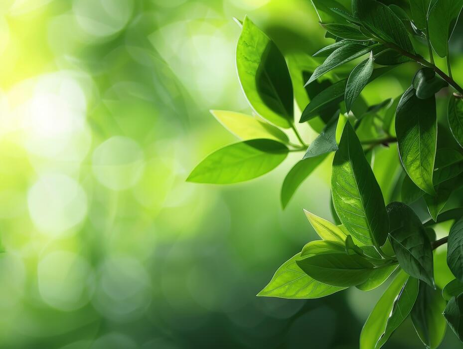 Green Project Stock Photos, Images and Backgrounds for Free Download