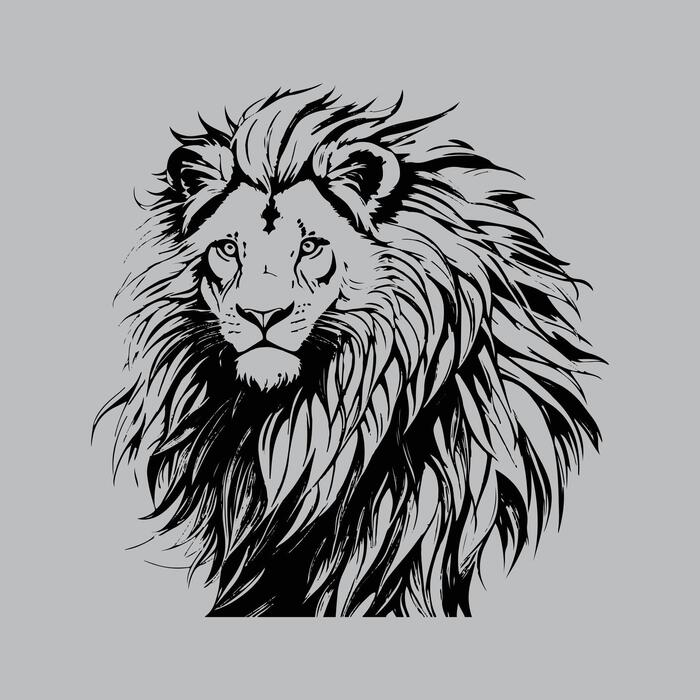 Lion Scratch Vector Art, Icons, and Graphics for Free Download