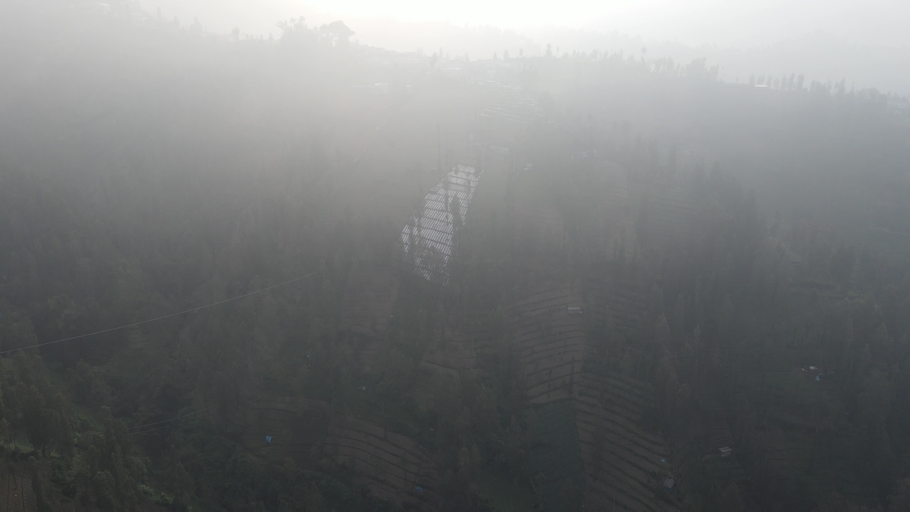 lluvioso clima en montañas. brumoso niebla soplo terminado pino árbol bosque. aéreo imágenes de ...