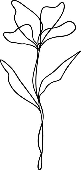 Black Line Flower Vector Art, Icons, and Graphics for Free Download