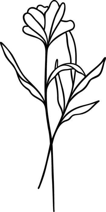 Black Line Flower Vector Art, Icons, and Graphics for Free Download