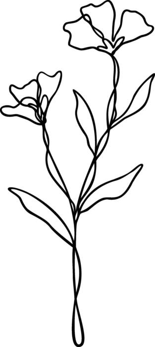 Black Line Flower Vector Art, Icons, and Graphics for Free Download