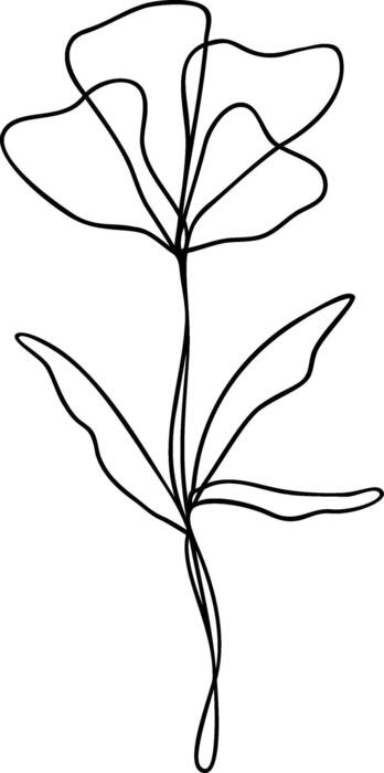 Black Line Flower Vector Art, Icons, and Graphics for Free Download