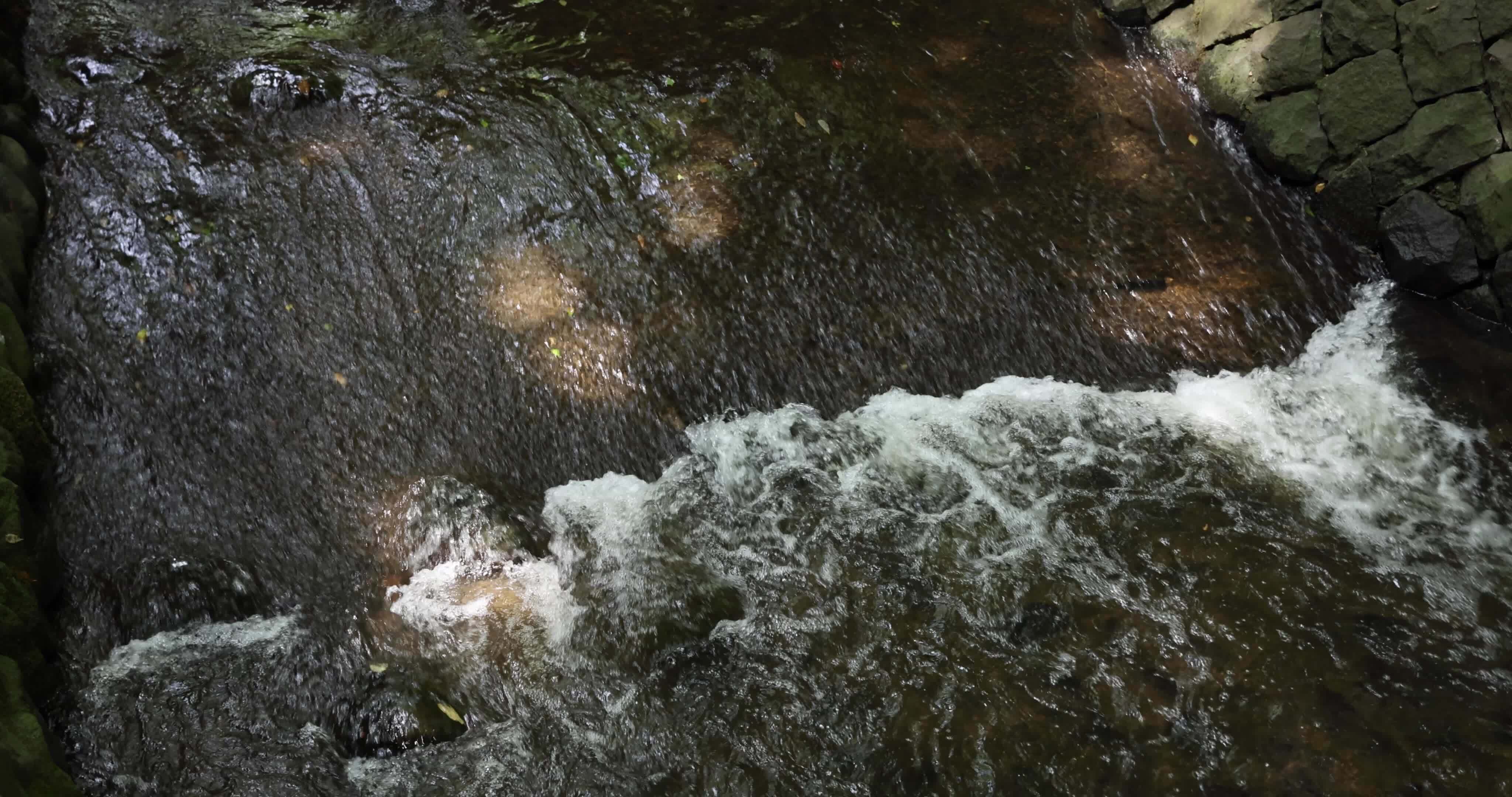 A river of Todoroki valley in Tokyo in summer telephoto shot 41262135 Stock Video at Vecteezy