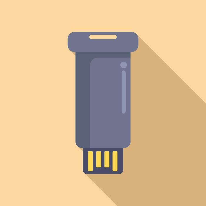 Portable Flash Memory Vector Art, Icons, and Graphics for Free Download