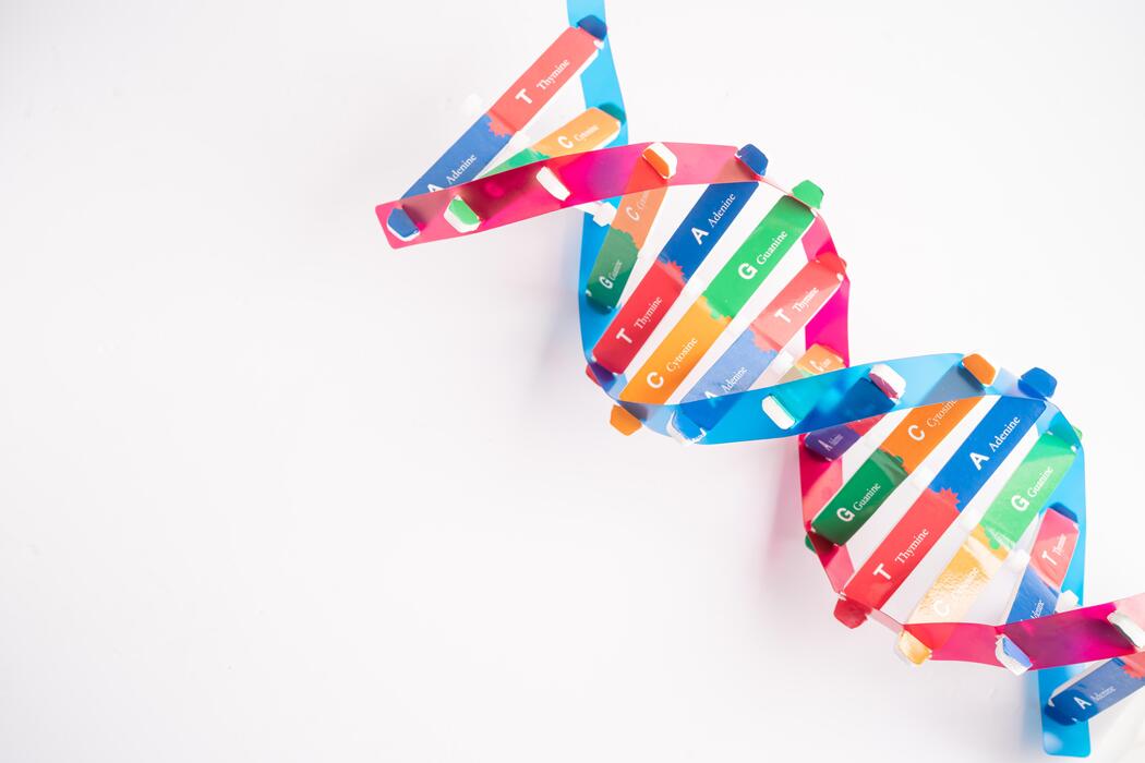 Dna Infographic Stock Photos, Images and Backgrounds for Free Download